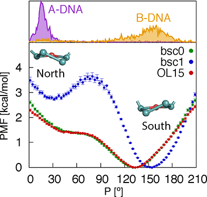 A- to B-DNA Transition in AMBER Force Fields and Its Coupling to Sugar ...