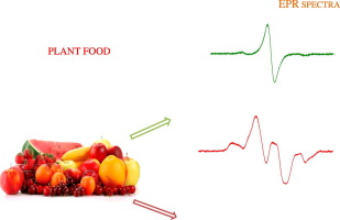 EPR识别γ射线辐照的植物性食品的各种方法：综述,Food Research International - X-MOL