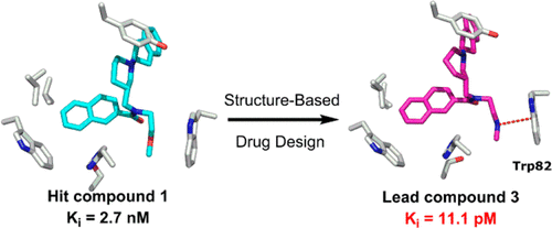 The Magic of Crystal Structure-Based Inhibitor Optimization ...