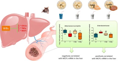 Particle size determines the anti-inflammatory effect of wheat bran in ...