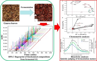 Impact of fermentation degree on phenolic compositions and ...