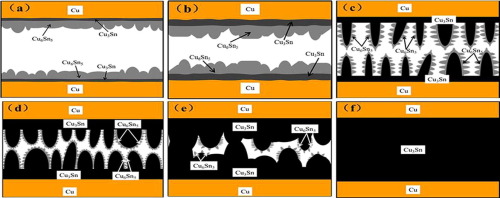 The fast formation of Cu-Sn intermetallic compound in Cu/Sn/Cu system by induction heating ...