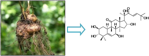Cucurbitane-type triterpenes from the tubers of Hemsleya penxianensis ...