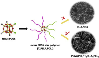 Janus POSS星形聚合物的合成及其对PLLA / PCL聚合物共混物的相容性行为,Polymer - X-MOL