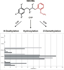 Human cytochrome P450 kinetic studies on six N -2-methoxybenzyl (NBOMe ...