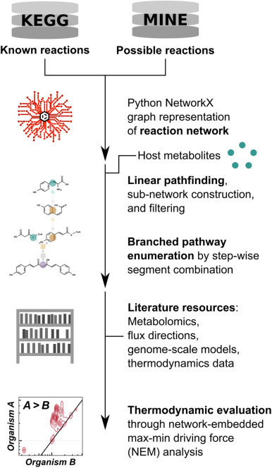 Thermodynamic analysis of computed pathways integrated into the ...