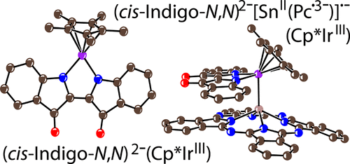 Interligand Charge Transfer in a Complex of Deprotonated cis-Indigo ...