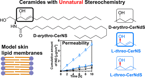 Effects of Ceramide and Dihydroceramide Stereochemistry at C-3 on the ...