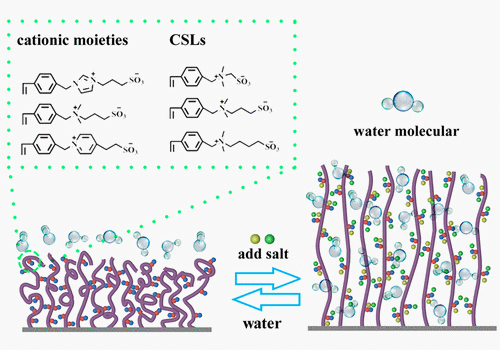 Structural Dependence of Salt-Responsive Polyzwitterionic Brushes with ...