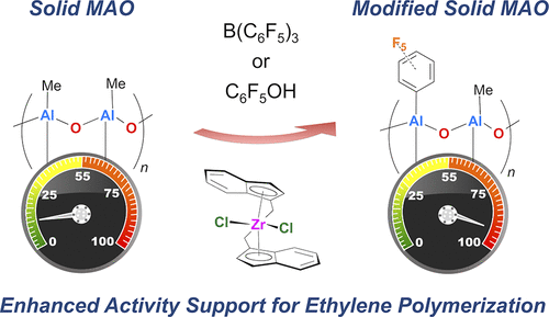 Slurry-Phase Ethylene Polymerization Using Pentafluorophenyl- and ...