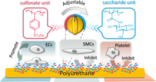 Sulfonate Groups and Saccharides as Essential Structural Elements in ...