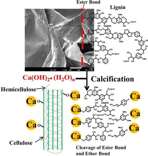 Corn Stalk Fiber-Based Biomass Brick Reinforced by Compact Organic ...