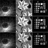 Blind multi-frame deconvolution by tangential iterative projections (TIP),Optics Express - X-MOL