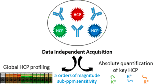 Dual Data Independent Acquisition Approach Combining Global Hcp