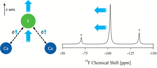Complex F,Cl Apatite Solid Solution Investigated Using Multinuclear ...