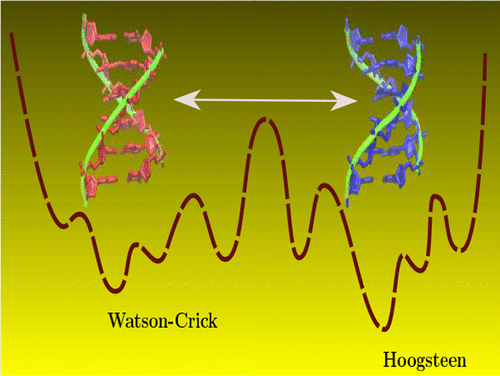 Energy Landscape and Pathways for Transitions between Watson–Crick and ...