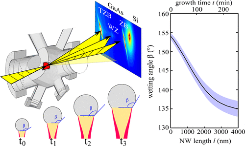 Radial Growth of Self-Catalyzed GaAs Nanowires and the Evolution of the Liquid Ga-Droplet ...