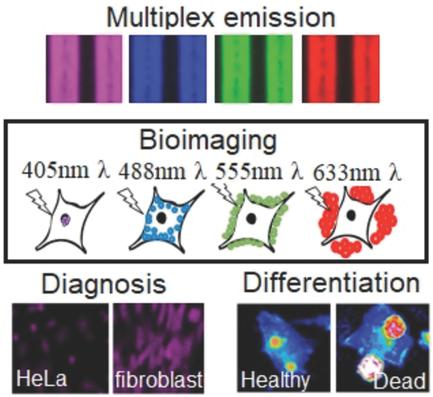 Multiplex Photoluminescent Silicon Nanoprobe for Diagnostic Bioimaging ...