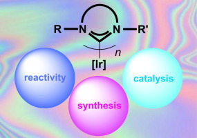 具有单齿N-杂环卡宾配体的铱配合物,Coordination Chemistry Reviews - X-MOL