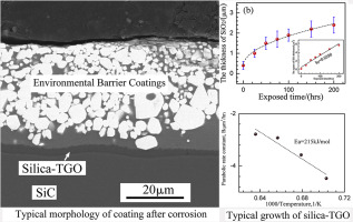 Formation and growth of silica layer beneath environmental barrier ...