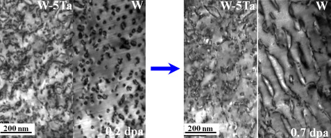 Structural defect accumulation in tungsten and tungsten-5wt.% tantalum ...