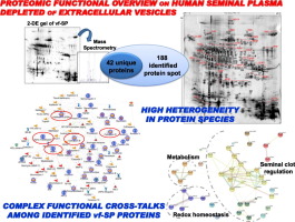 人精浆中可溶蛋白级分,Journal of Proteomics - X-MOL