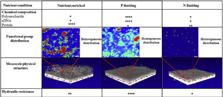 Linking composition of extracellular polymeric substances (EPS) to the ...
