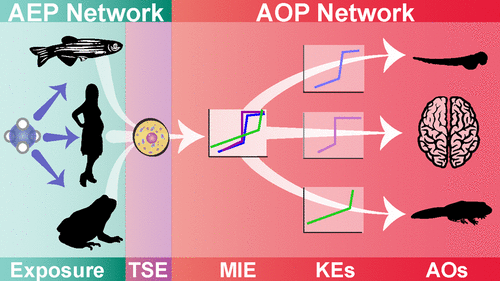 A Case Study Application of the Aggregate Exposure Pathway (AEP) and ...