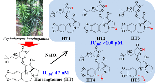 Sodium-Periodate-Mediated Harringtonine Derivatives and Their ...