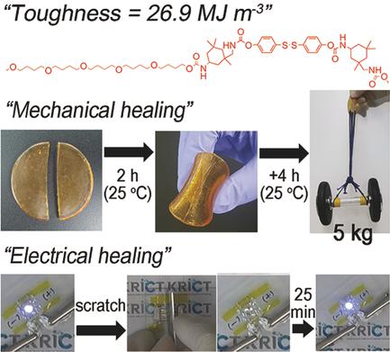 Superior Toughness and Fast Self‐Healing at Room Temperature Engineered ...