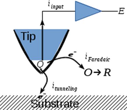 On the Mechanism of Scanning Electrochemical Potential Microscopy ...