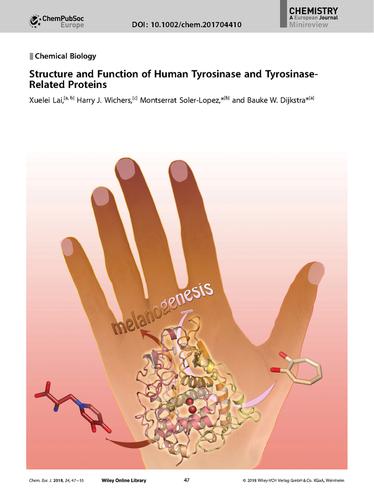 Frontispiece: Structure and Function of Human Tyrosinase and Tyrosinase ...