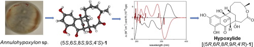 A novel 10-membered macrocyclic lactone from the mangrove-derived ...