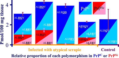 Determining the Relative Susceptibility of Four Prion Protein Genotypes ...