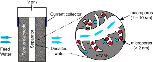 Charging and Transport Dynamics of a Flow-Through Electrode Capacitive ...