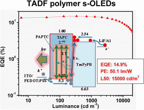 Highly Efficient TADF Polymer Electroluminescence with Reduced ...