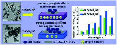 Morphology-dependent oxygen vacancies and synergistic effects of Ni ...
