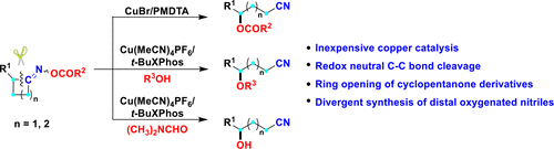 Cu-Catalyzed Redox-Neutral Ring Cleavage of Cycloketone O-Acyl Oximes ...