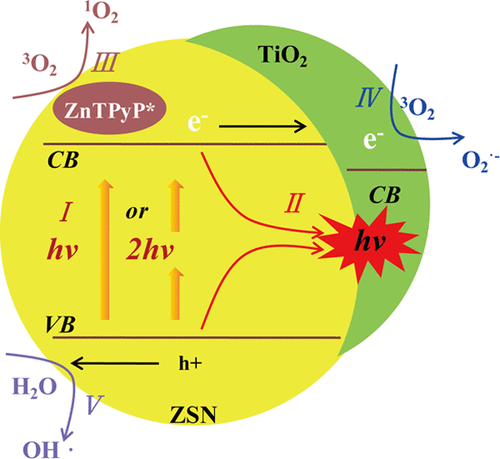 Photoelectron Transfer at ZnTPyP Self-Assembly/TiO2 Interfaces for ...