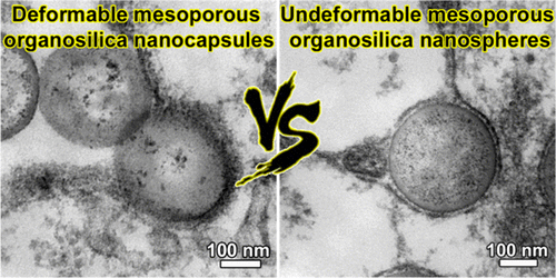 Deformable Hollow Periodic Mesoporous Organosilica Nanocapsules for ...