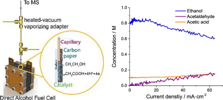 Liquid-inlet online electrochemical mass spectrometry for the in ...