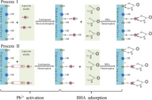 Study on the activation mechanism of lead ions in the flotation of ...