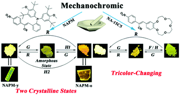 AIE-active smart cyanostyrene luminogens: polymorphism-dependent ...