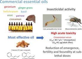 Acute and sub-lethal toxicity of eight essential oils of commercial ...