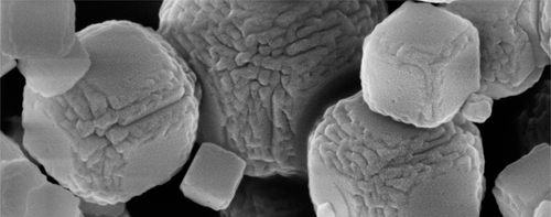 On Precipitation of Sparingly Soluble Fluoride Salts,Crystal Growth ...