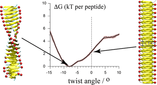Energetics Underlying Twist Polymorphisms in Amyloid Fibrils,The ...