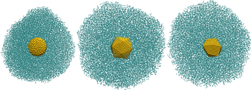 Thermal Transport is Influenced by Nanoparticle Morphology: A Molecular ...