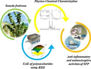 Optimized extraction of pectin-like polysaccharide from Suaeda fruticosa leaves ...