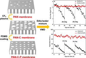 Modification of polyacrylonitrile membranes via plasma treatment ...
