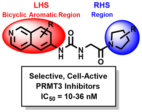 Discovery of Potent and Selective Allosteric Inhibitors of Protein ...
